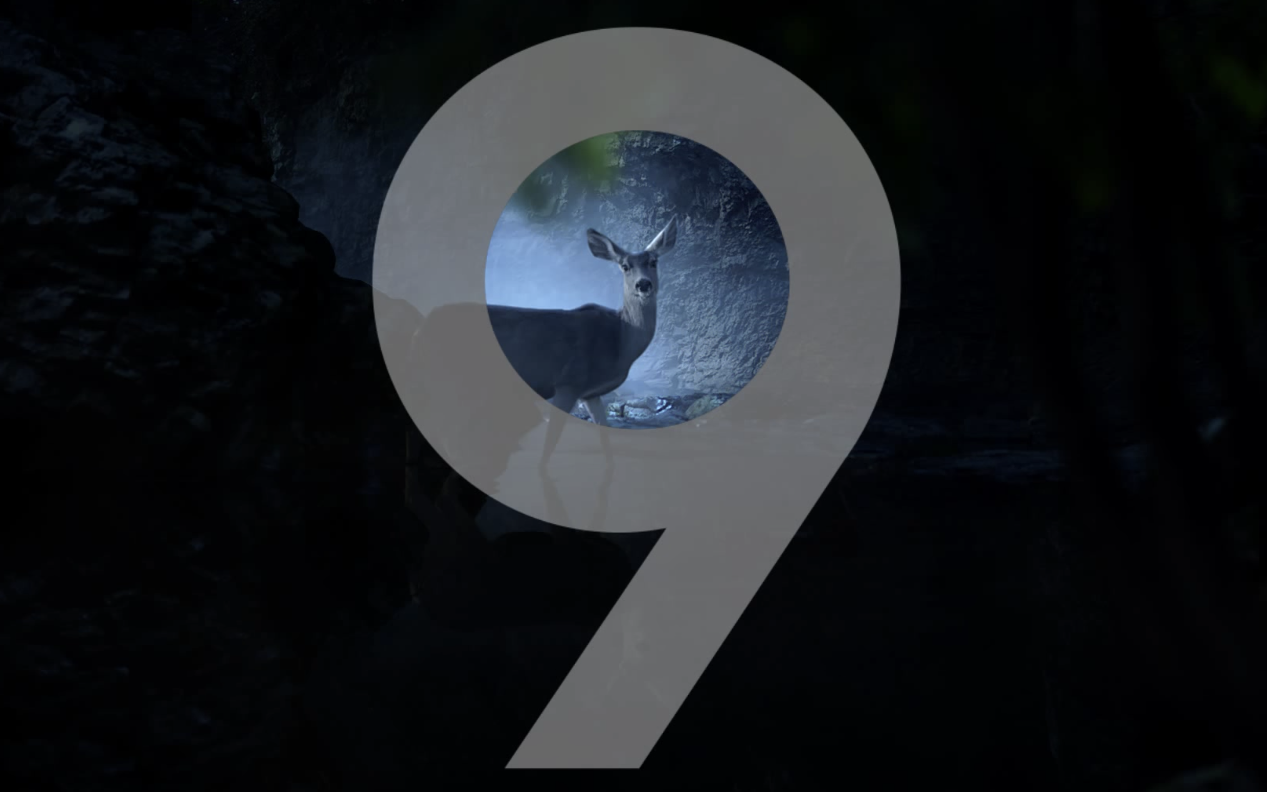 3 Features of the new Samsung Galaxy S9 revealed » EFTM