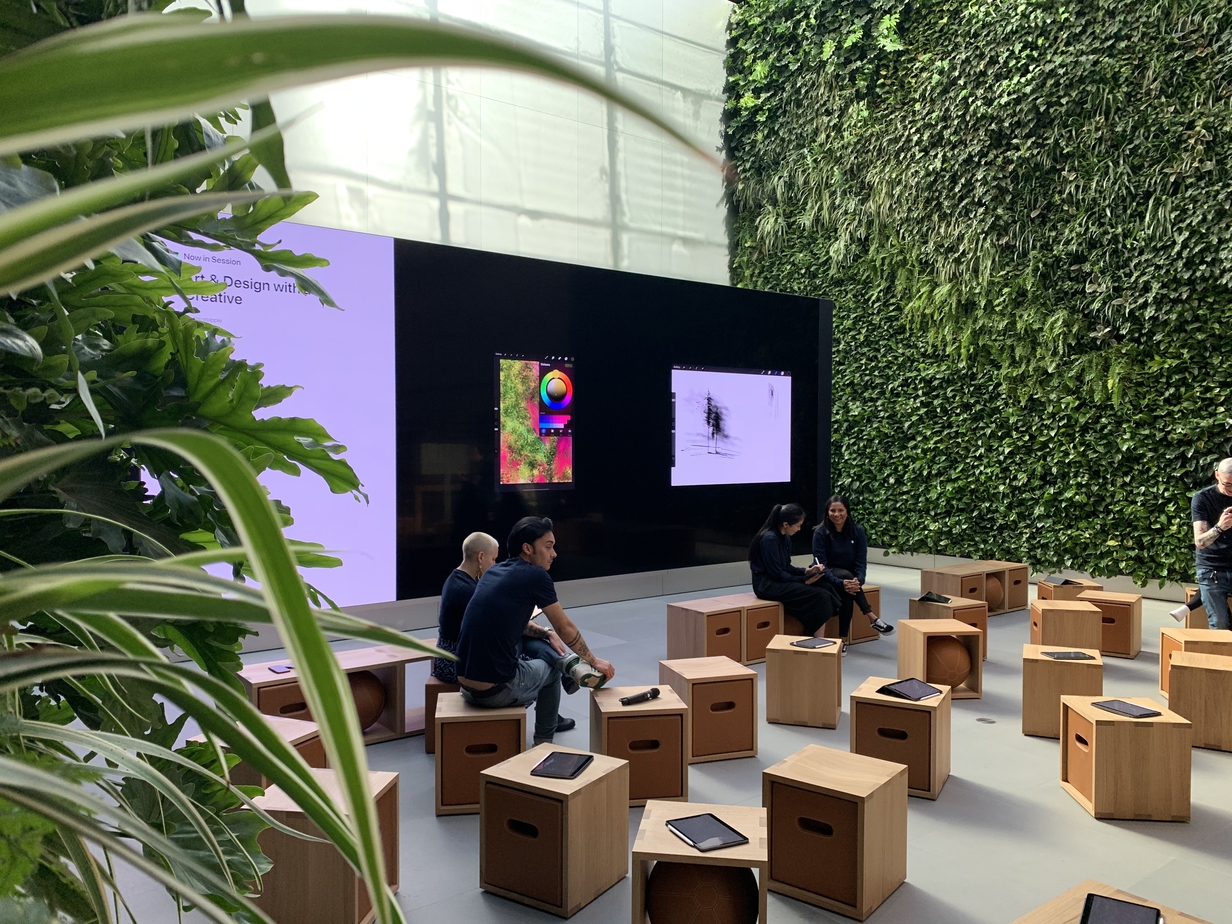 No more trees inside Apple's revamped Bondi Store - Plant walls replace ...