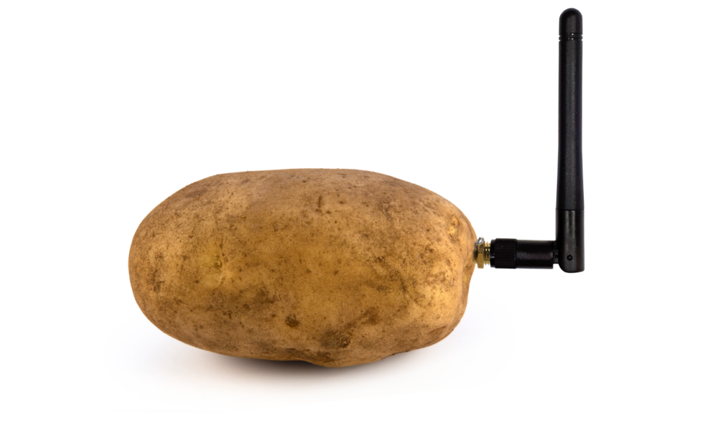 A Smart Potato - You Better Believe It » EFTM