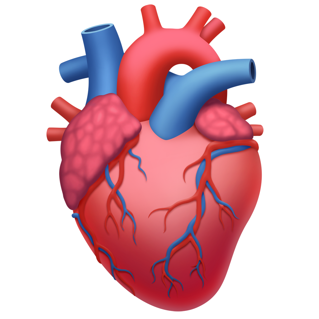 AnatomicalHeart » EFTM