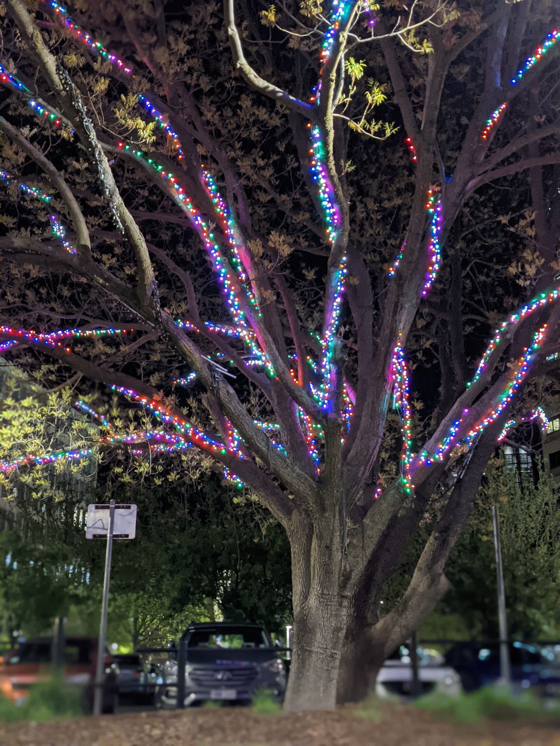 Pixel 4a (5G) review: 5G and Pixel features for a bargain price » EFTM