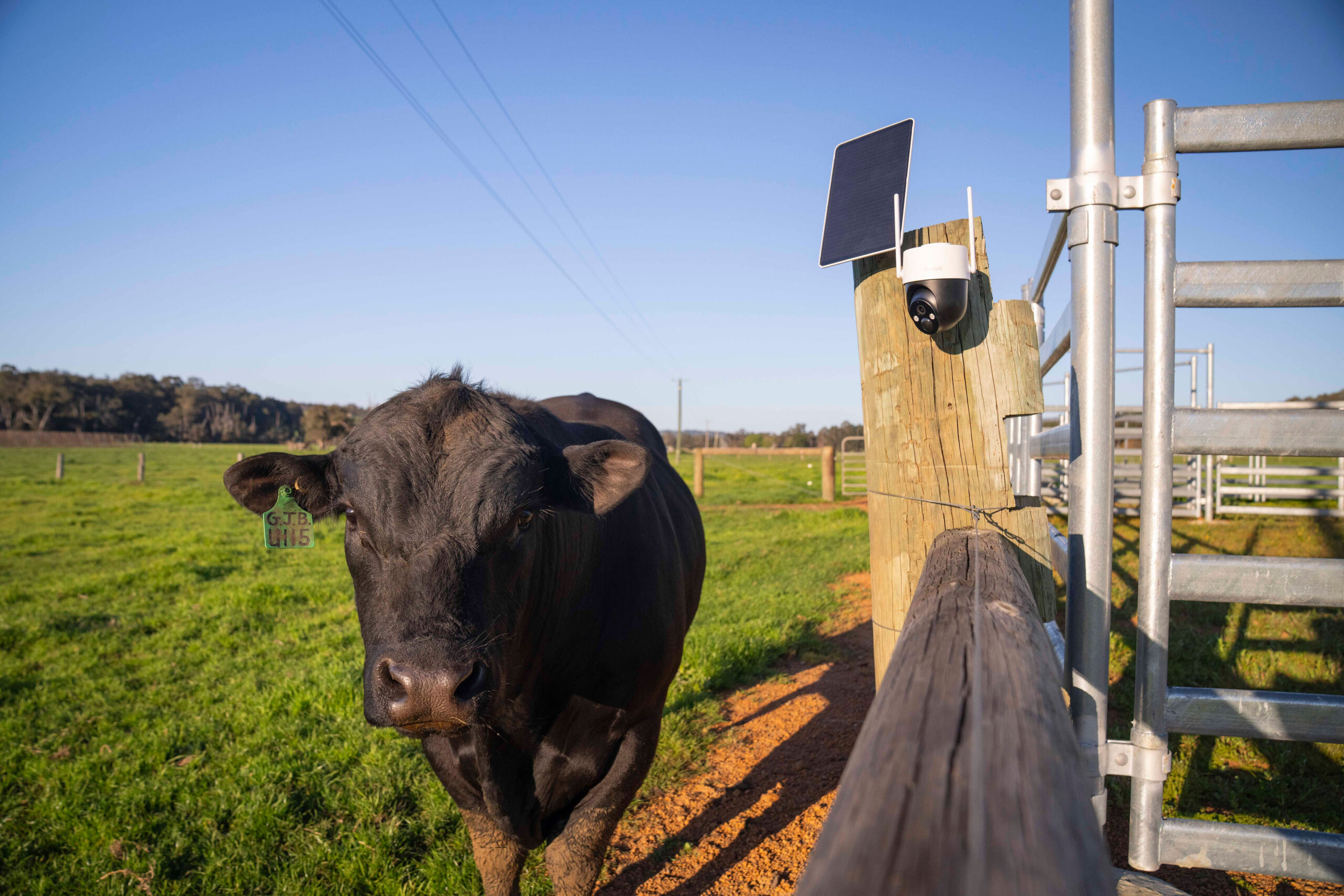 Uniden launch its new SOLO X2K home security camera range including 4G wireless devices for ...